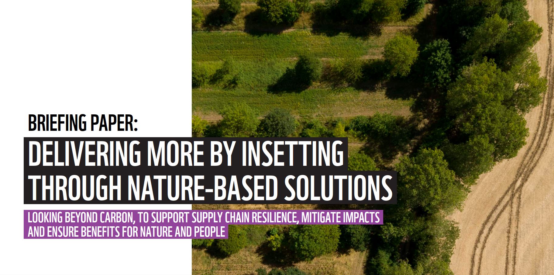 Delivering more by insetting through nature based solutions | WWF